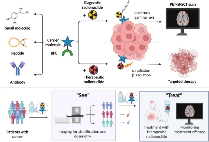 Radioligand Drug Conjugates (RDCs): The Precision Oncology Revolution ...